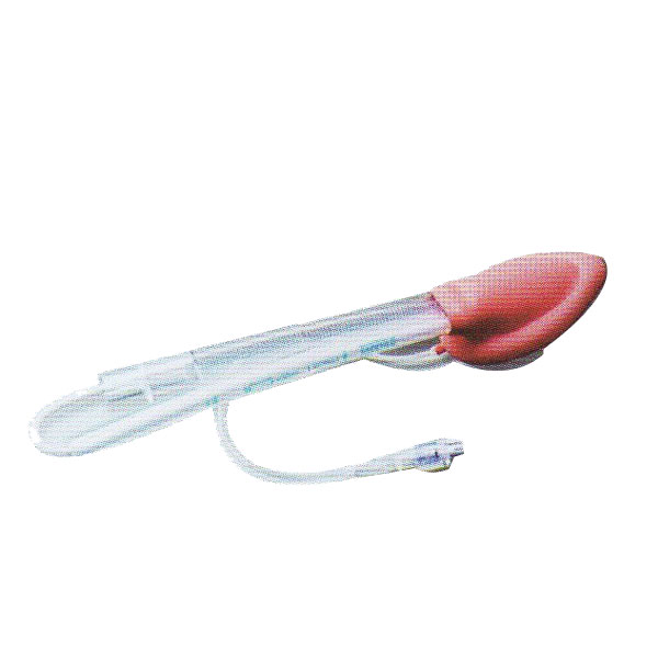 FROSHER : . GOTA LIGHT EDULCORANTE DIETÉTICO Y FIBRAMUCIL FIBRA SOLUBLE